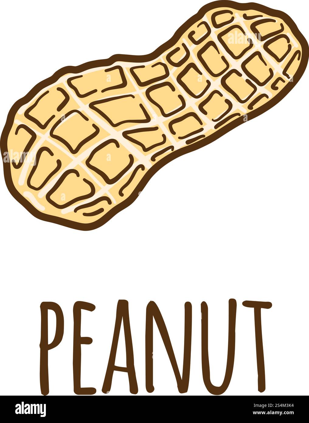 Peanut in shell icon. Hand drawn illustration of peanut in shell vector ...