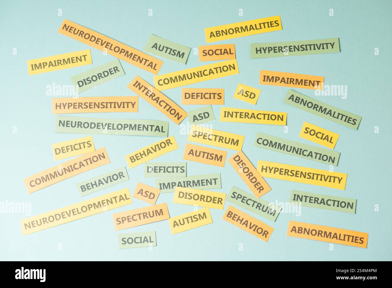 ASD autism neurodevelopmental spectrum disorder, deficits in social ...