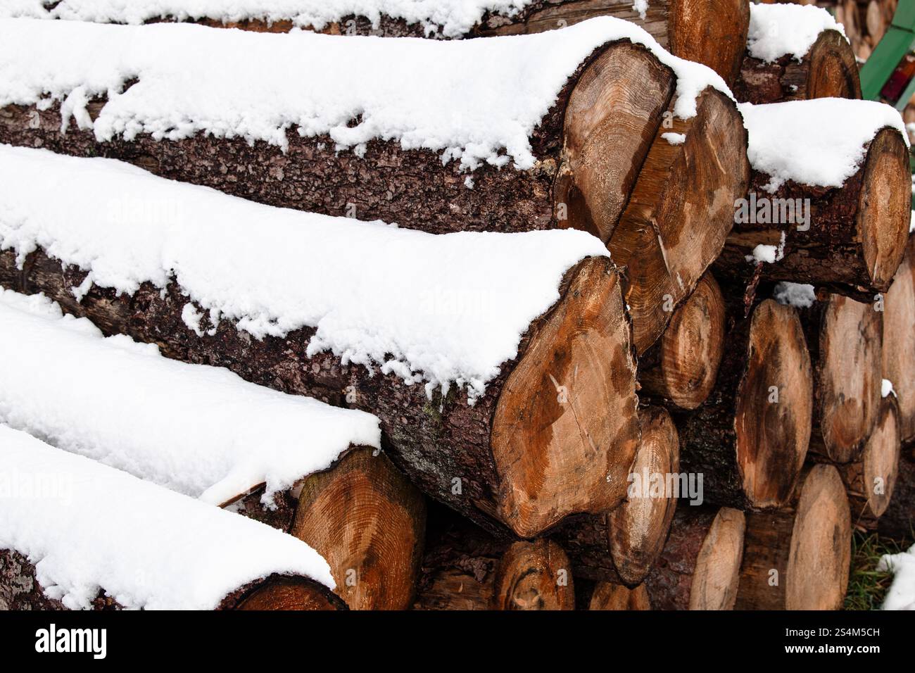 Chopped tree logs pilled up next to a forest covered with snow, lumber ...