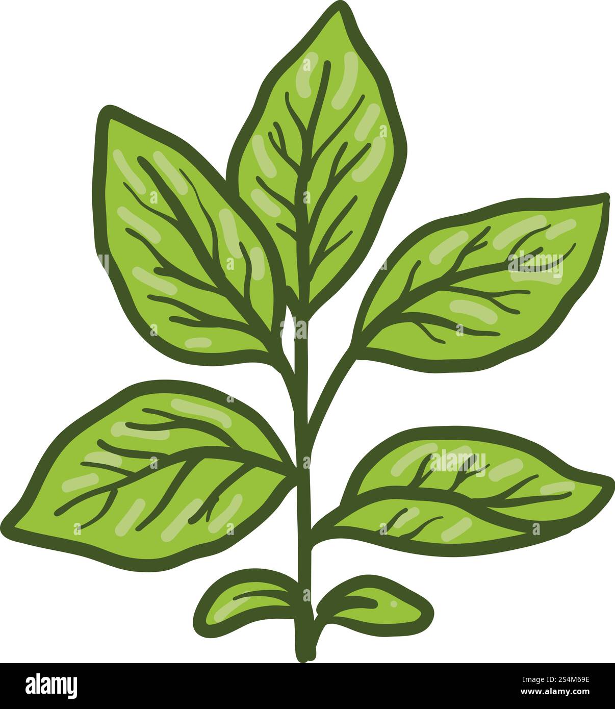 Soybean plant icon. Hand drawn illustration of soybean plant vector ...