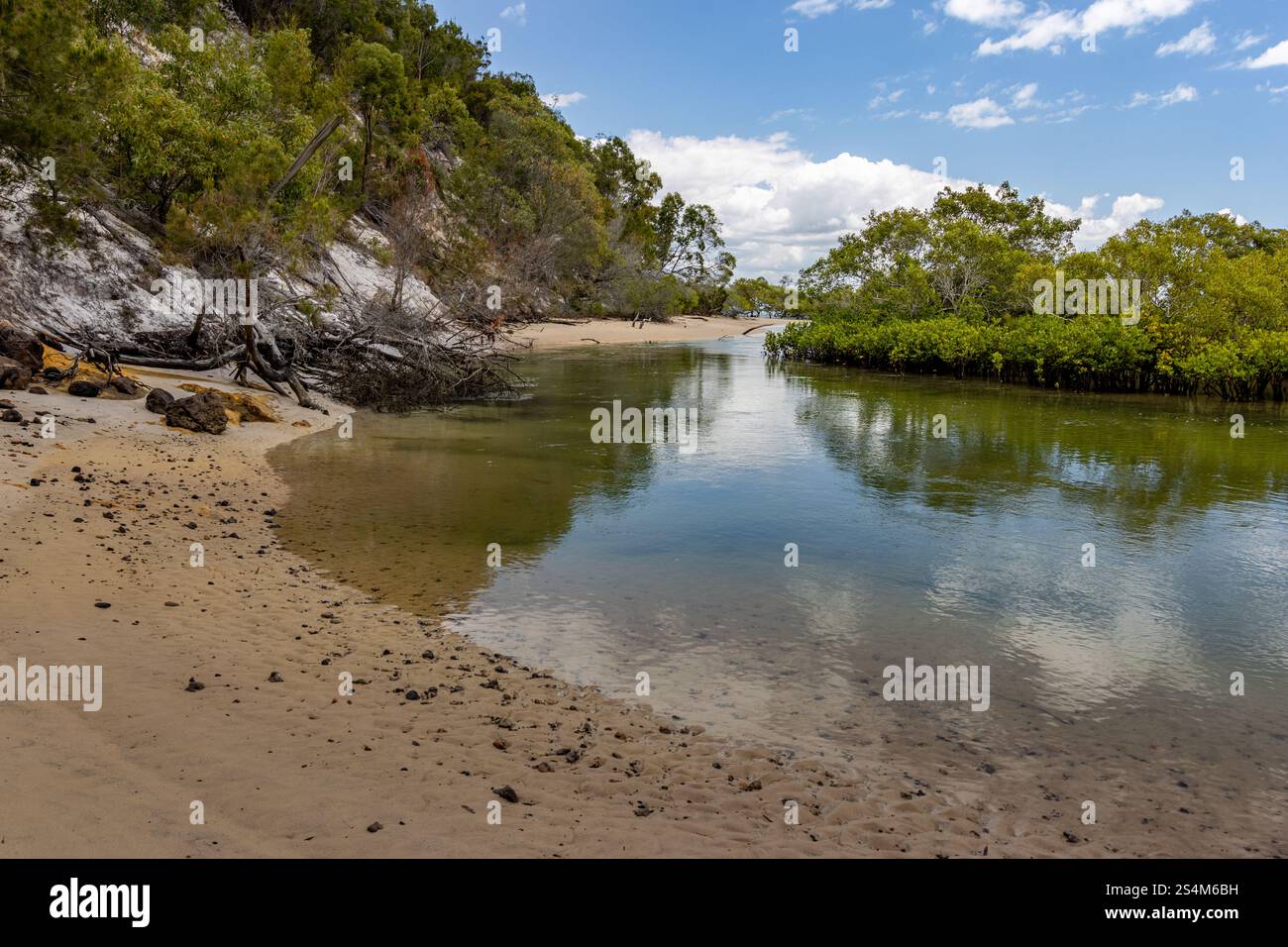 Dundonga Creek, K'gari, Fraser Island, Queensland Australia, mangrove ...