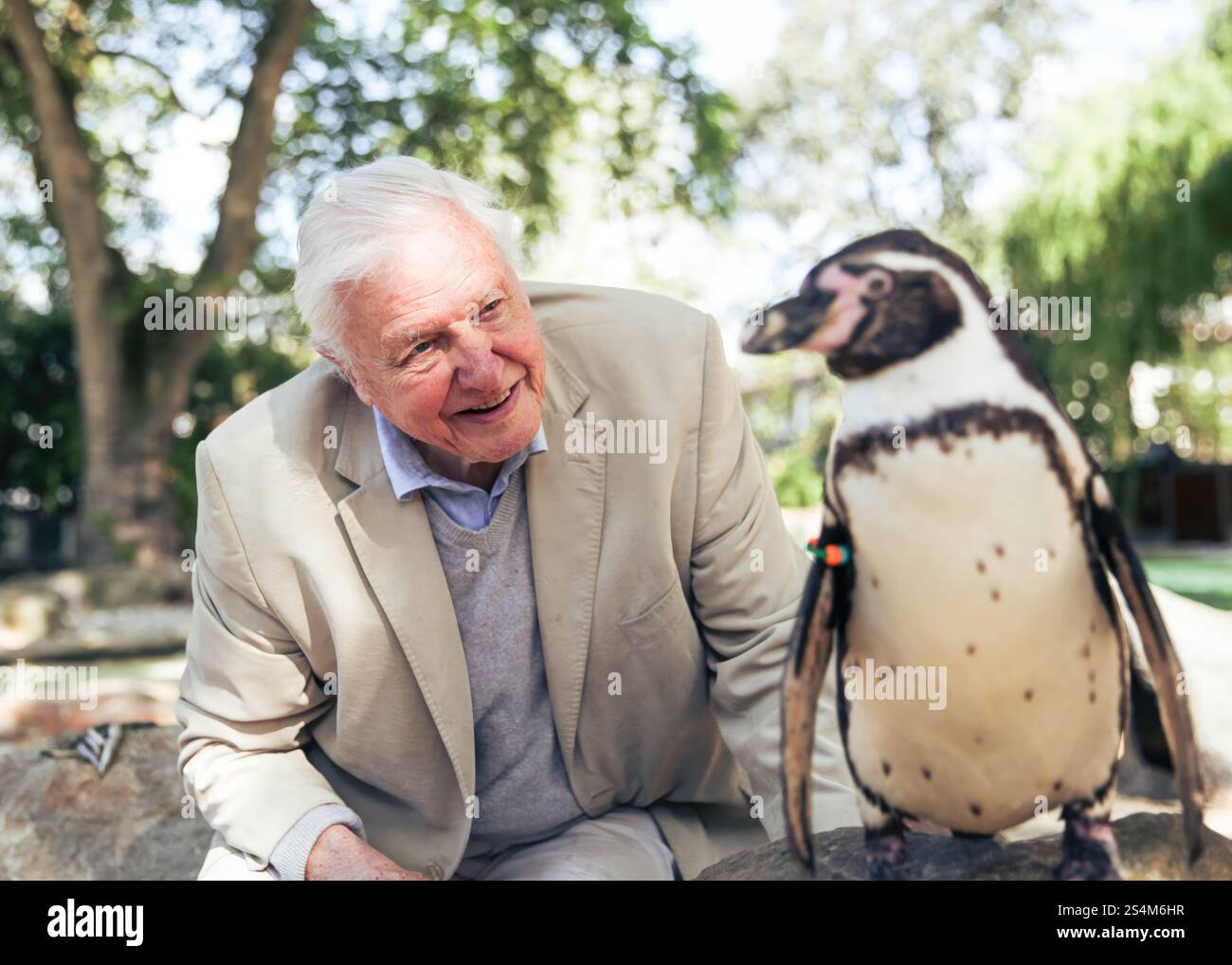 DAVID ATTENBOROUGH in ATTENBOROUGH AND THE GIANT SEA MONSTER (2024 ...