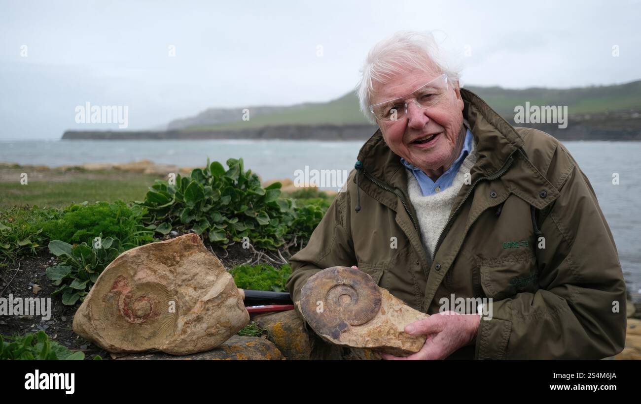 DAVID ATTENBOROUGH in ATTENBOROUGH AND THE GIANT SEA MONSTER (2024 ...