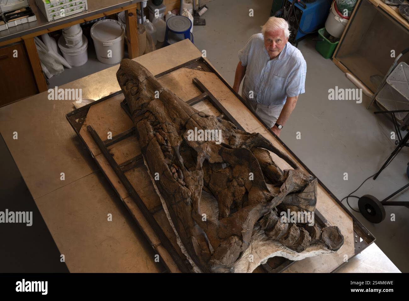 DAVID ATTENBOROUGH in ATTENBOROUGH AND THE GIANT SEA MONSTER (2024 ...