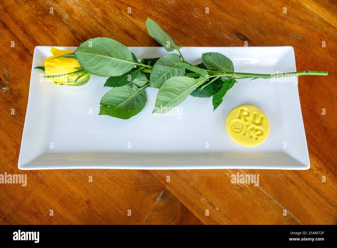 R U OK Day Australia, fundraising morning tea, yellow themed biscuit ...