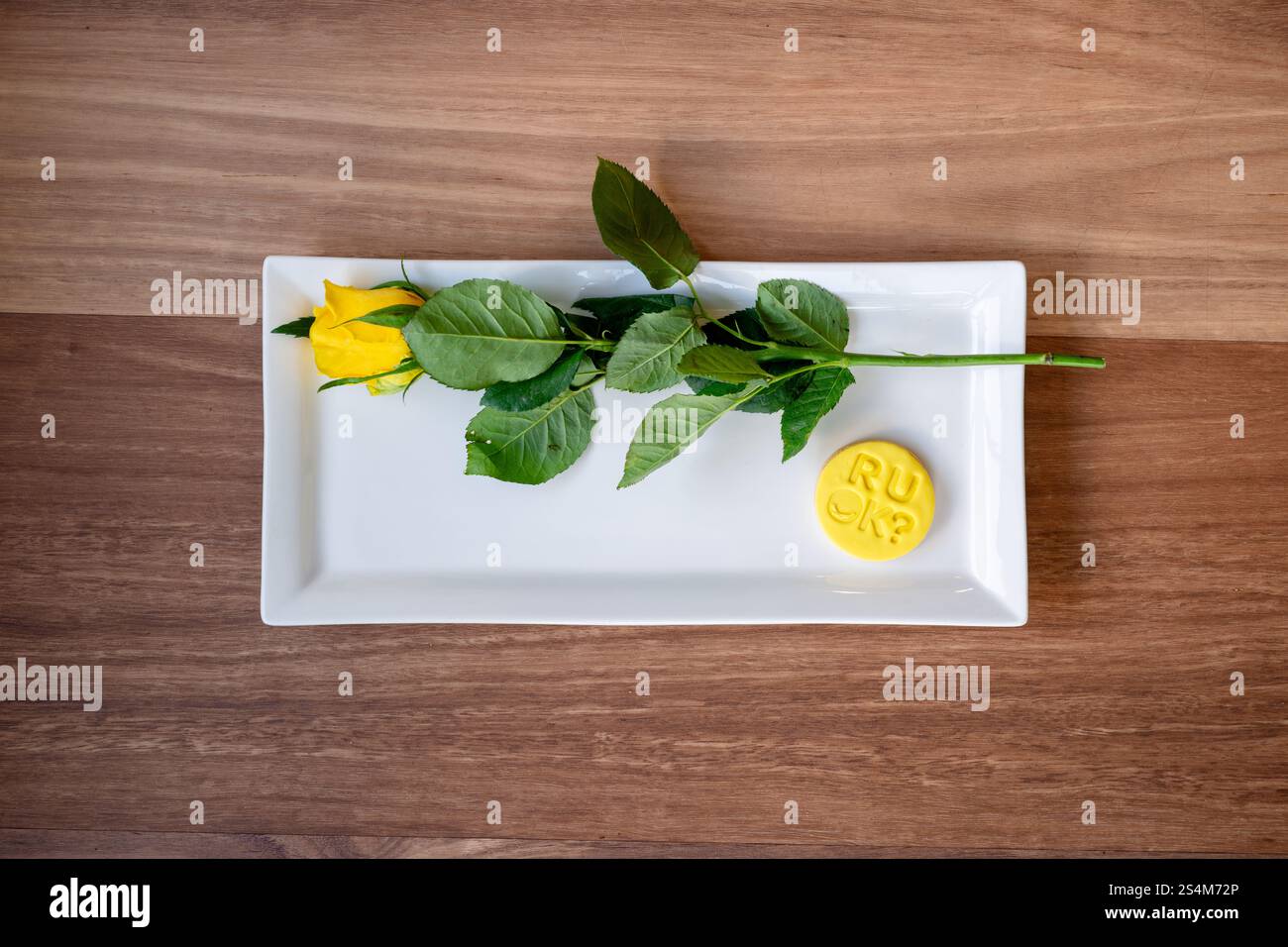 R U OK Day Australia, fundraising morning tea, yellow themed biscuit ...