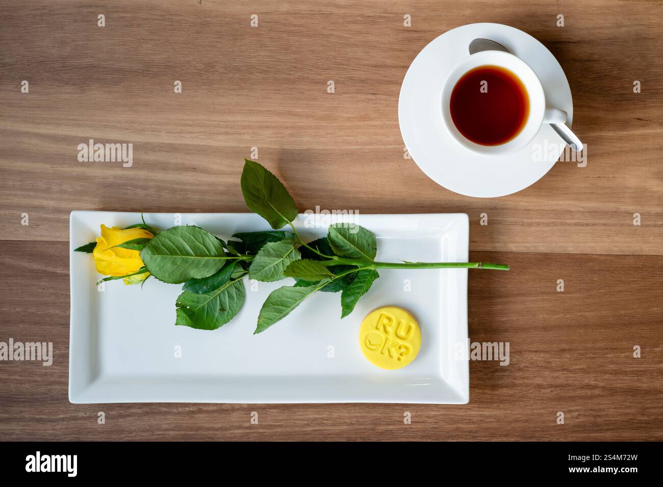 R U OK Day Australia, fundraising morning tea, yellow themed biscuit ...