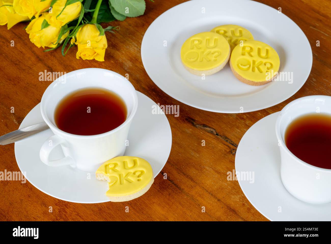 R U OK Day Australia, fundraising morning tea, yellow themed biscuit ...