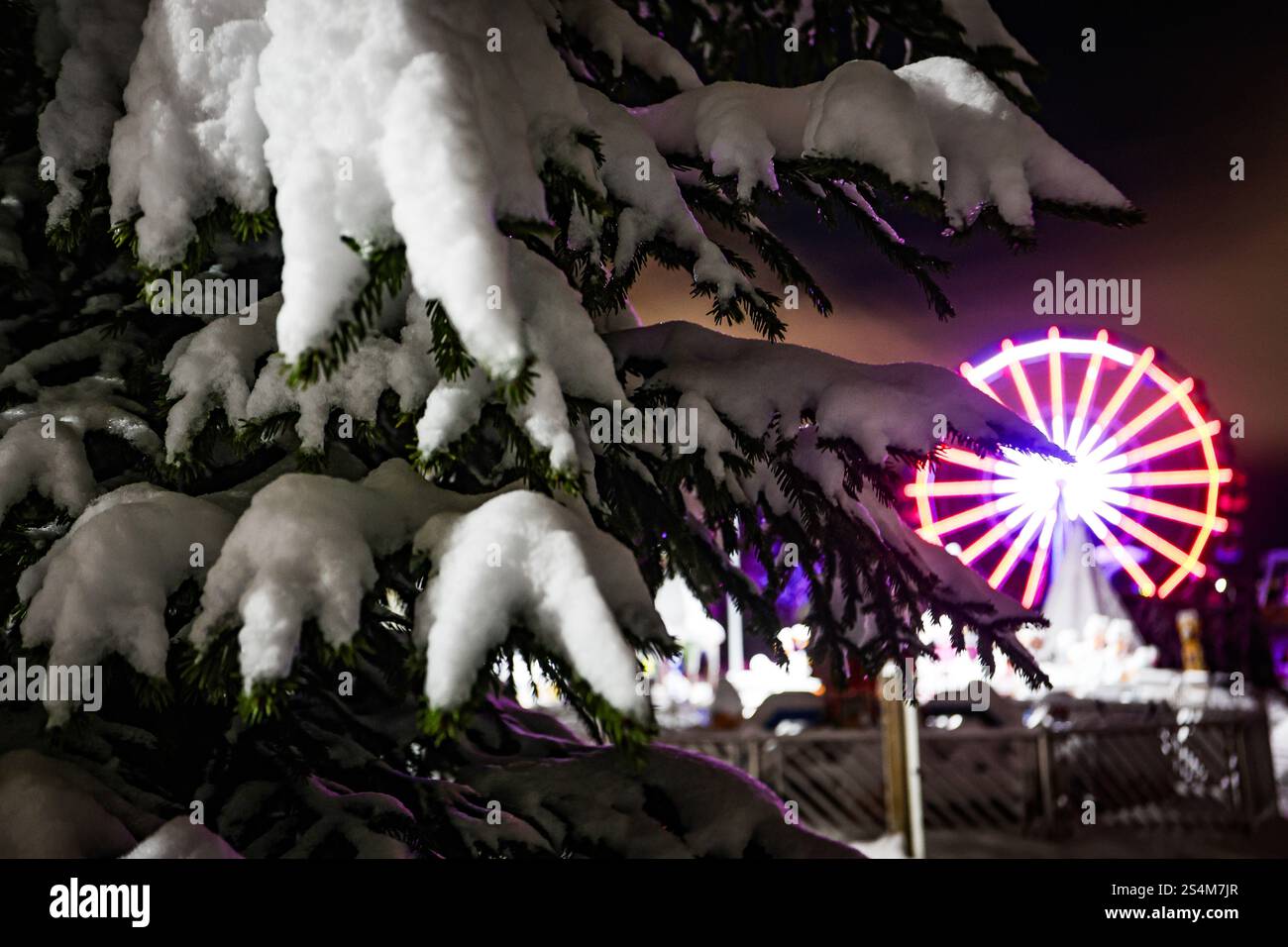St. Petersburg, Russia. 12th Jan, 2025. Snow-covered spruce branches ...