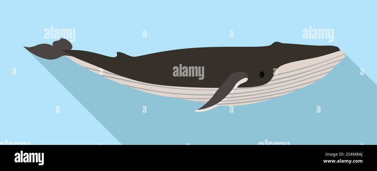 Fin whale icon. Flat illustration of fin whale vector icon for web ...