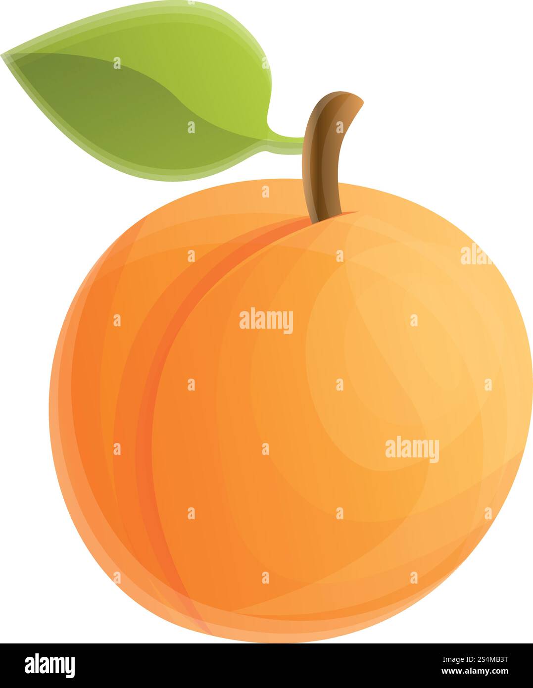 Garden tree apricot icon. Cartoon of garden tree apricot vector icon ...