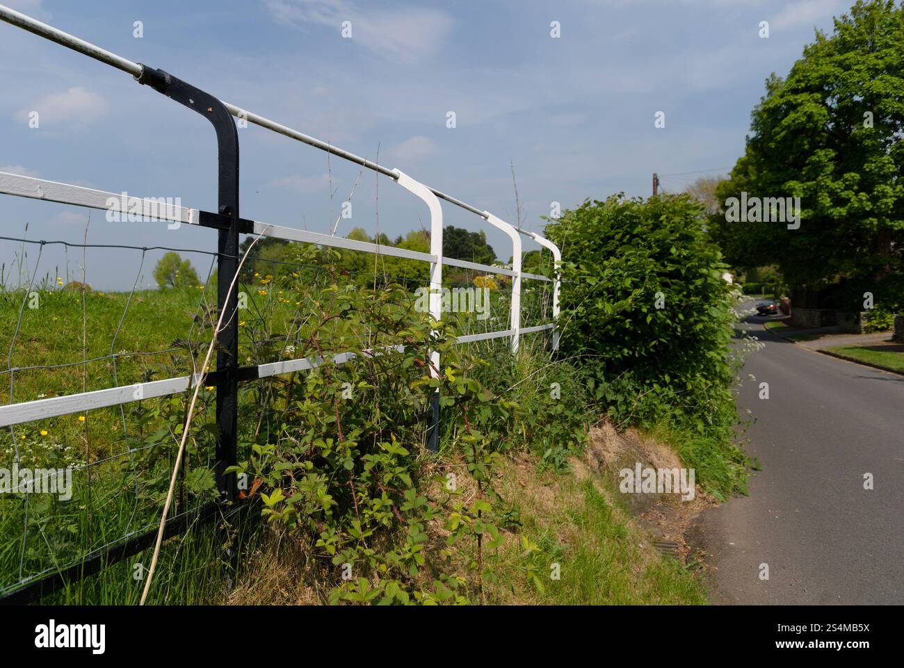 Cheshire road railings Stock Photo - Alamy