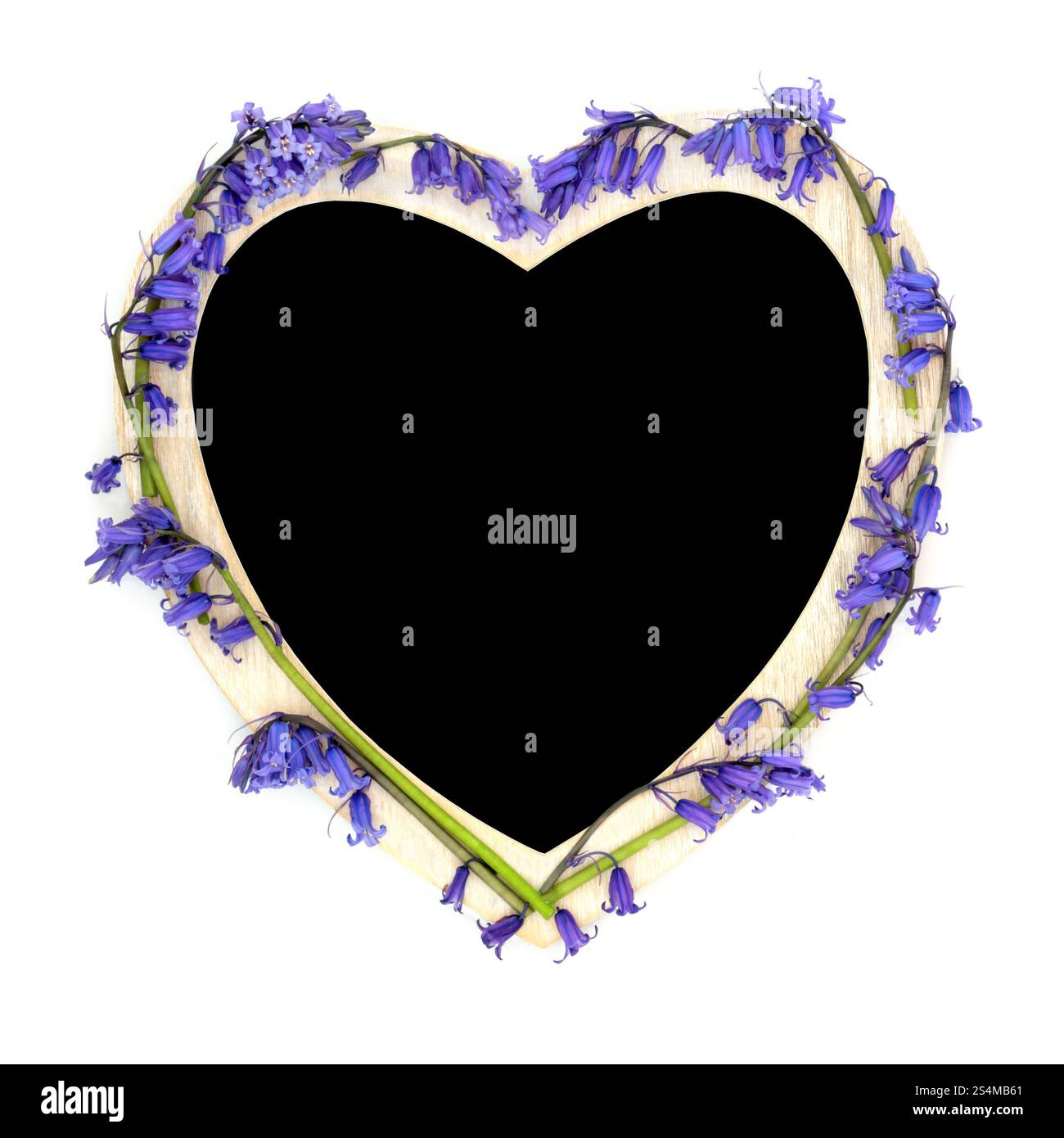 Spring heart shape bluebell flower frame on white with chalkboard ...