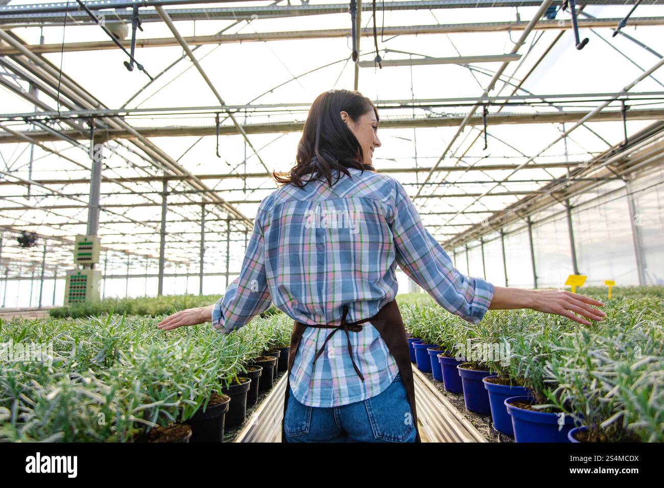 Smiling pretty female glasshouse worker at her working place Stock ...