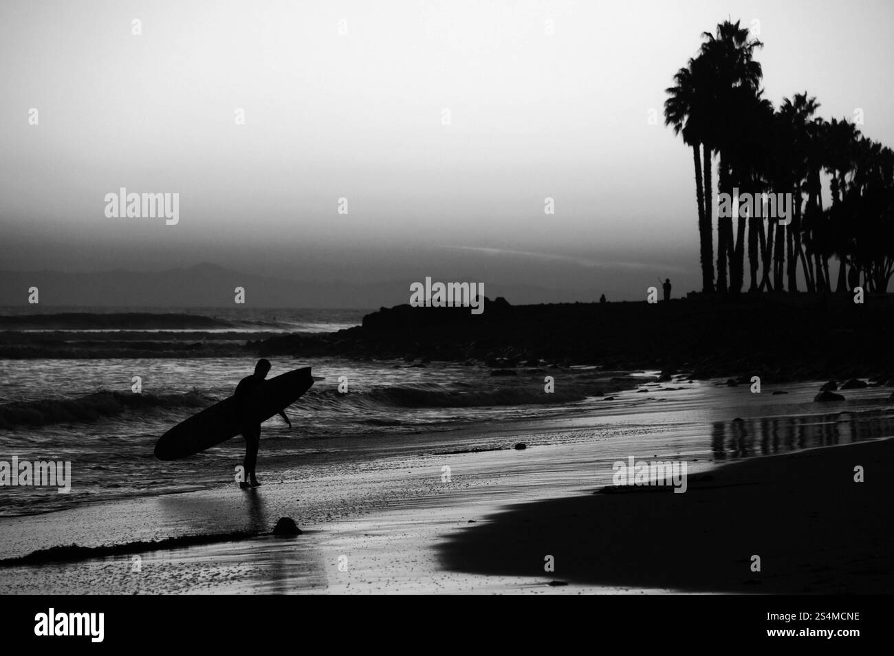 Surfers at sunset in the Pacific Ocean, on the beach in Ventura ...