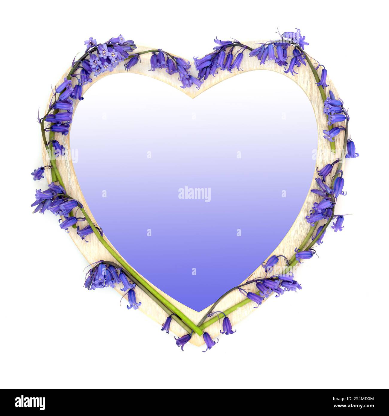 Romantic Spring heart shape bluebell flower frame on white with ...