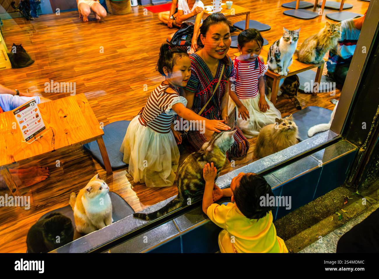 CHIANG RAI, THAILAND - MAY 10, 2019: Mother with daughters stroke the ...