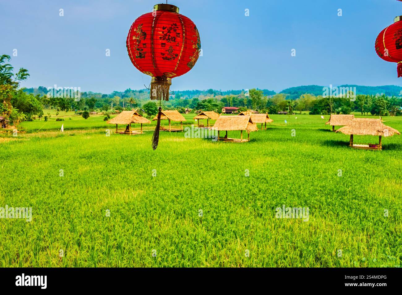 Chinese paper lanterns in tourist bamboo pavilion in paddy field of ...