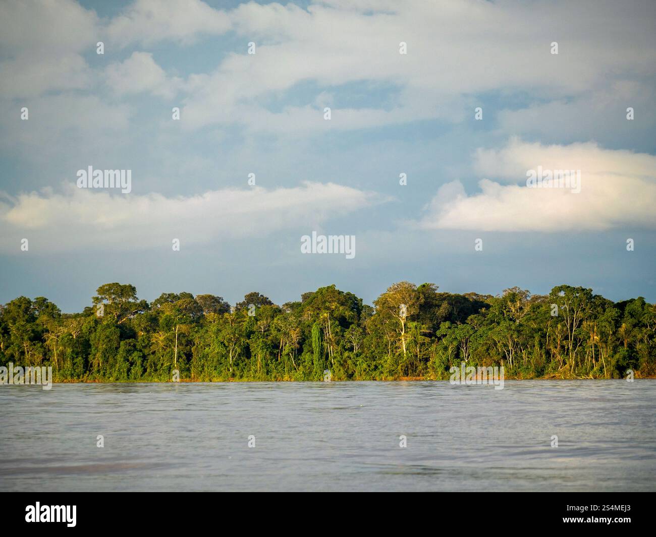 Amazon river landscape with rainforest. Taken near the small town of ...