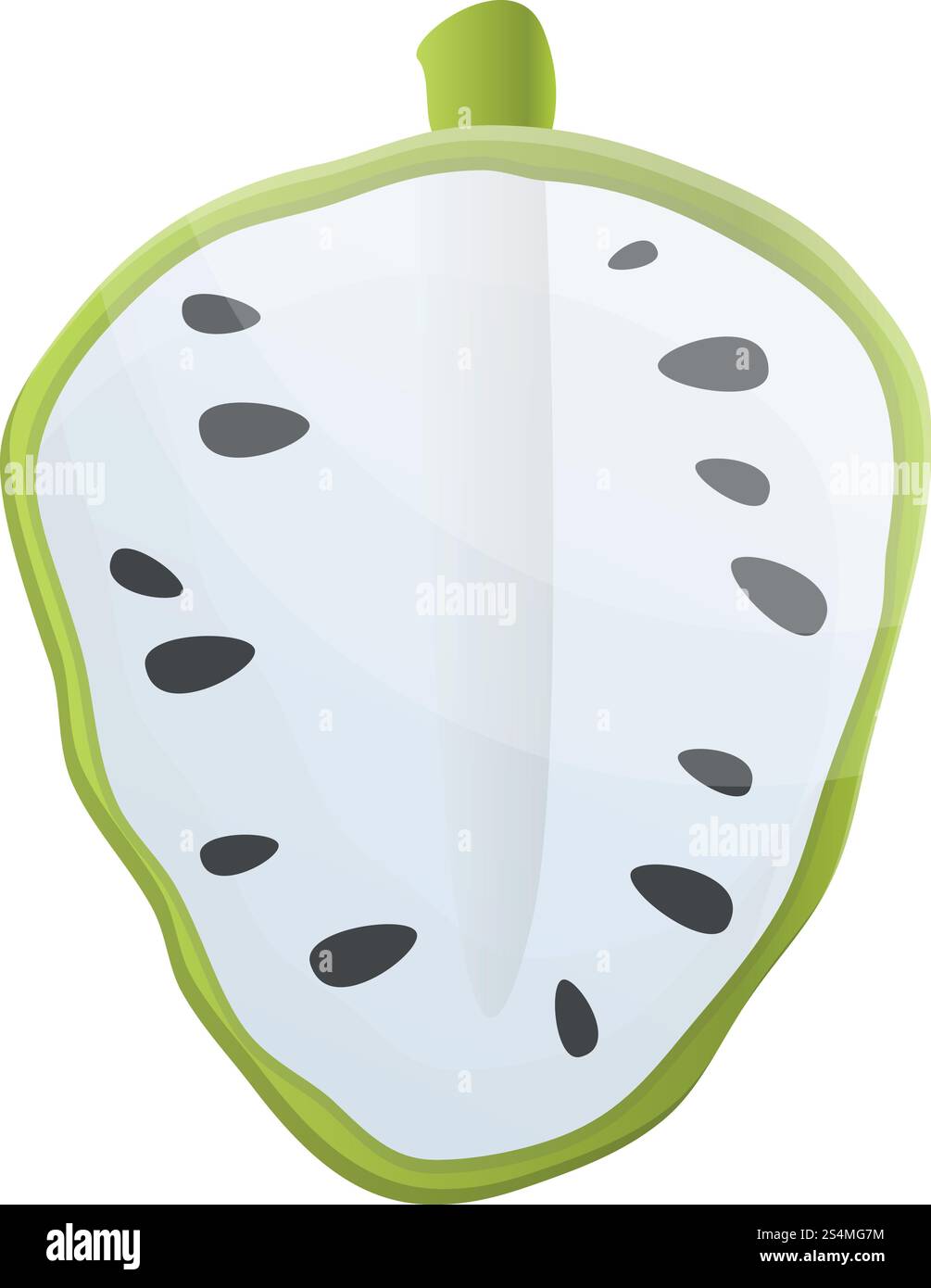 Seed soursop icon. Cartoon of seed soursop vector icon for web design ...