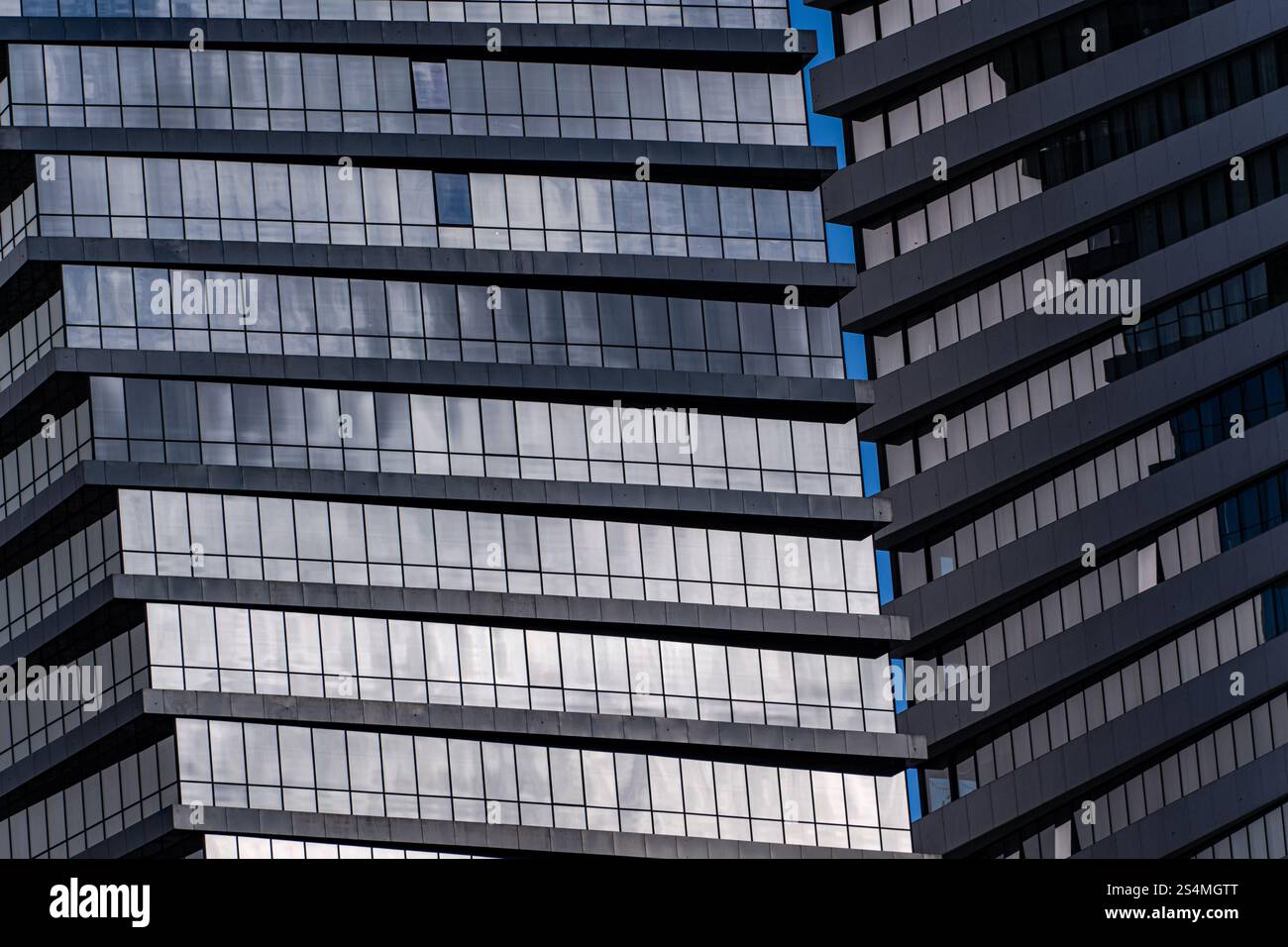 Featuring intricate linear details hi-res stock photography and images ...