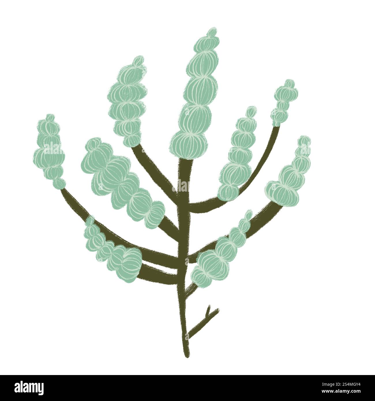 Calming natural aesthetic Cut Out Stock Images & Pictures - Alamy