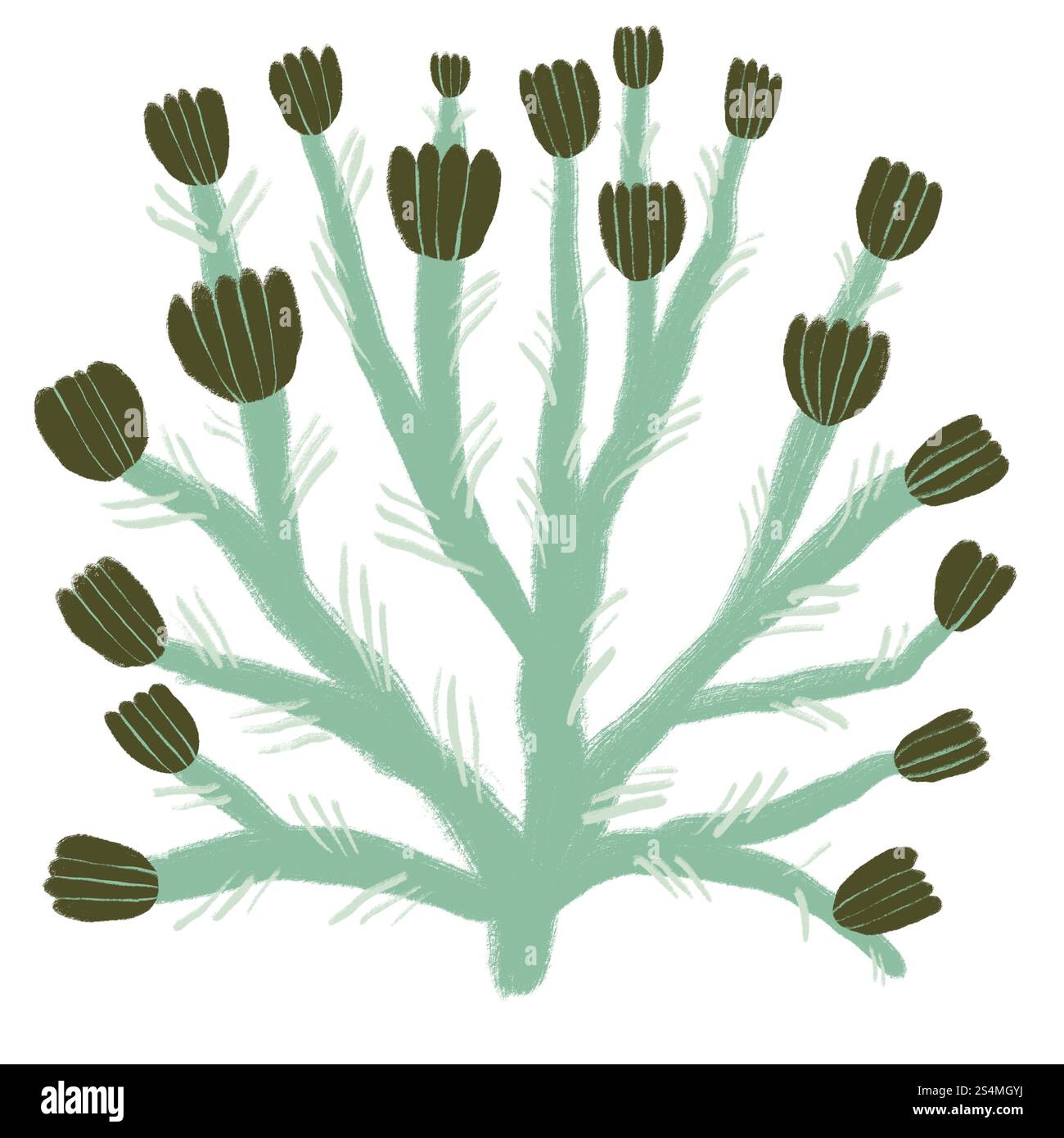 Blend of natural shapes Cut Out Stock Images & Pictures - Alamy