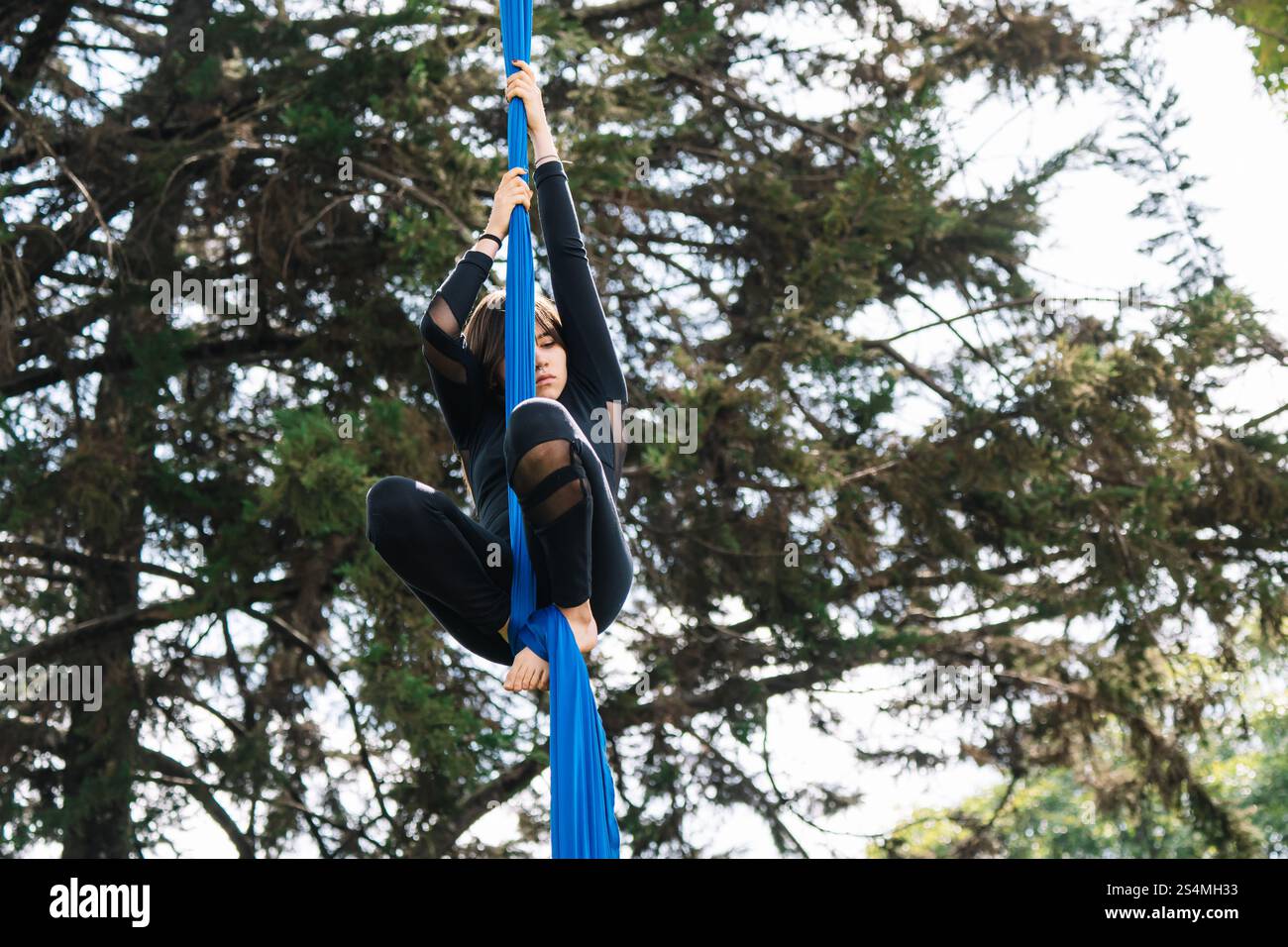 Aerial artist performing acrobatics on blue fabric against a natural ...
