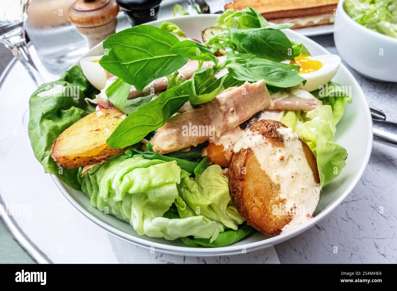 Nicoise salad at a street cafe in Paris. France. Traditional French ...