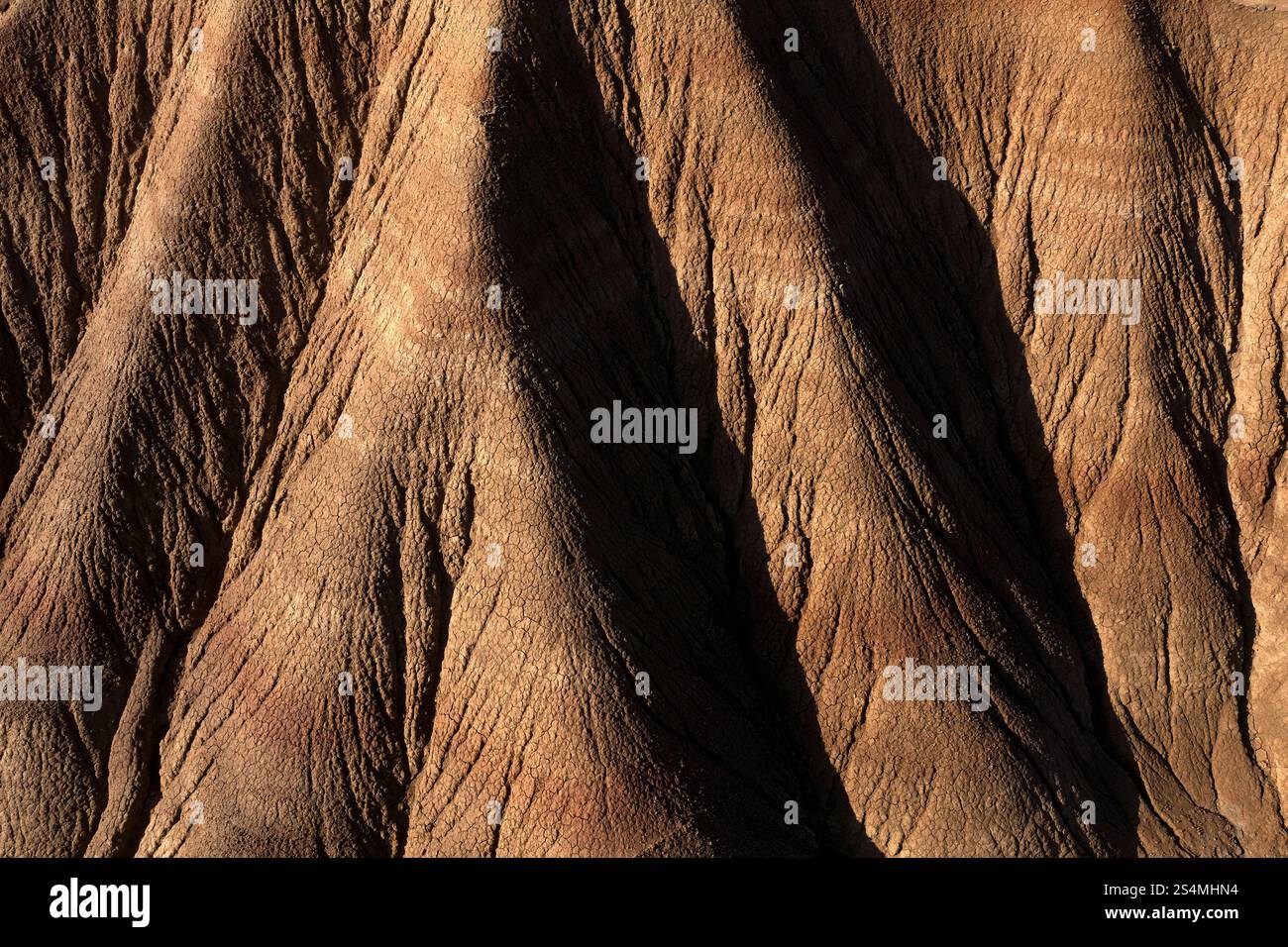 Aerial view of a rugged desert landscape showcasing intricate erosion ...