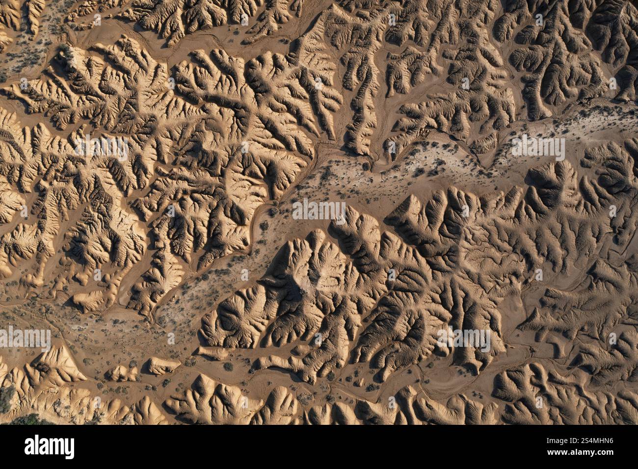 Aerial image captures the intricate patterns of arid desert terrain ...