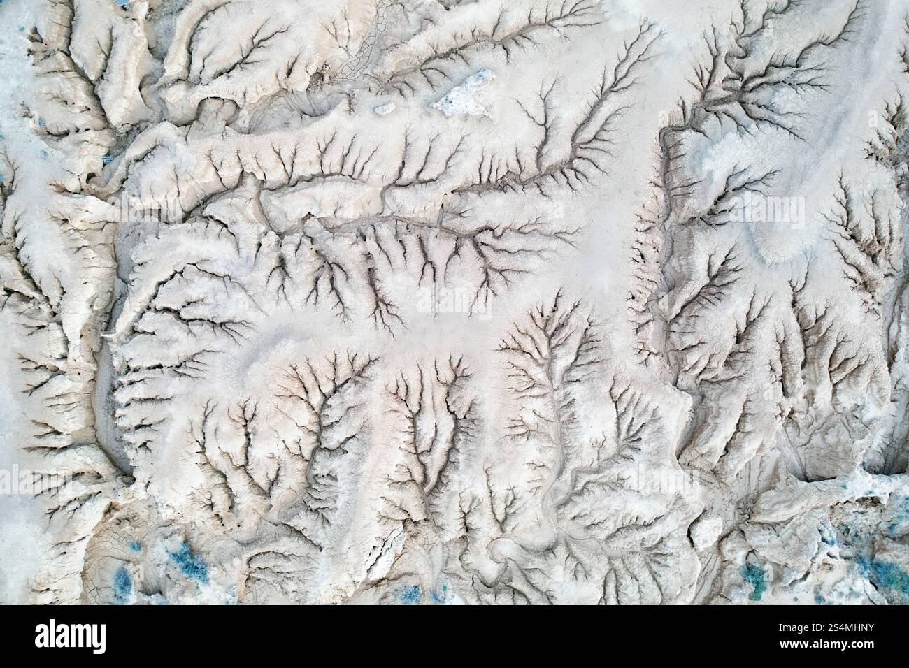 Aerial view of a desert landscape showcasing complex, branching ...