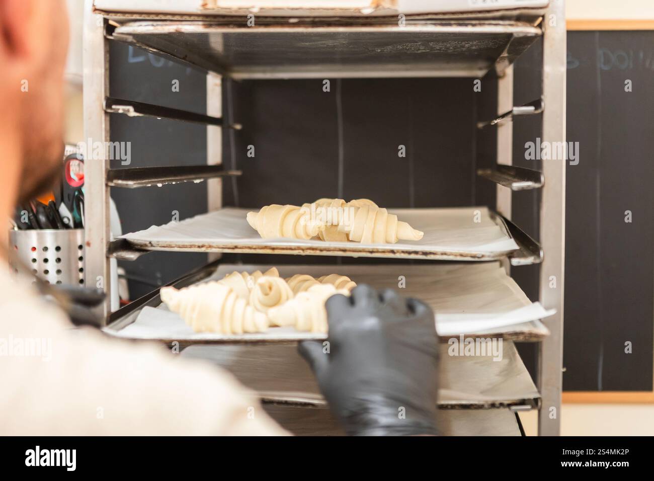 A baker places raw croissants onto a baking rack in an Italian bakery ...