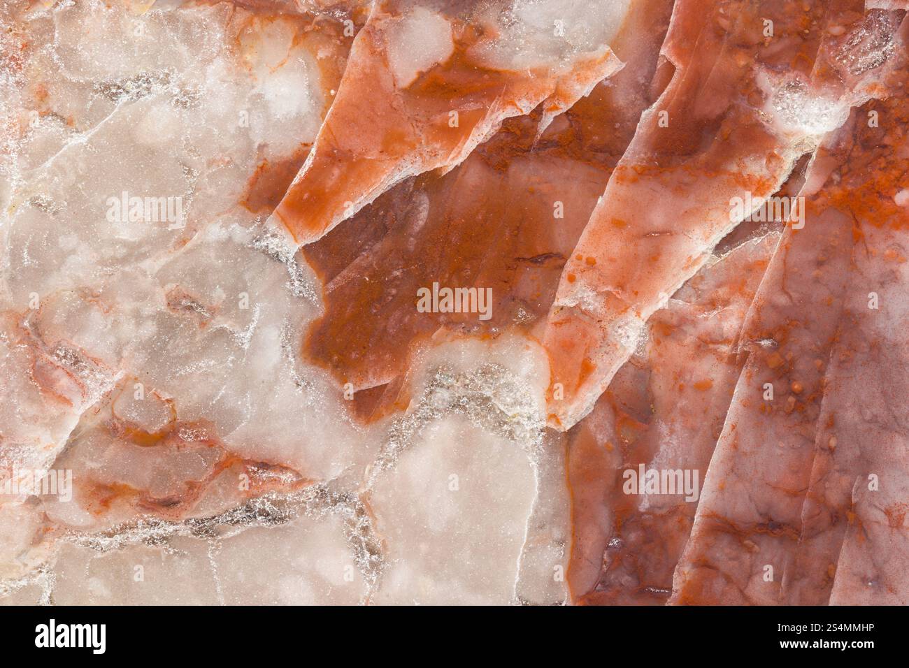 A detailed macro photograph of fossilized dinosaur feces, coprolite ...