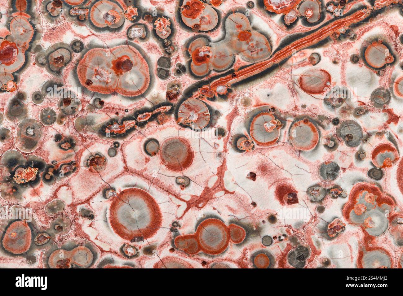 Macro image of Leopard Skin Jasper, also known as Jaguar Stone ...