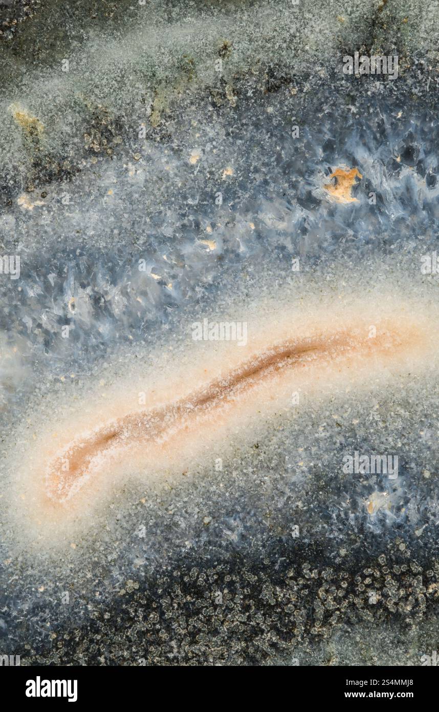 Detailed macro image of a clay tube inclusion encased in colorful agate ...