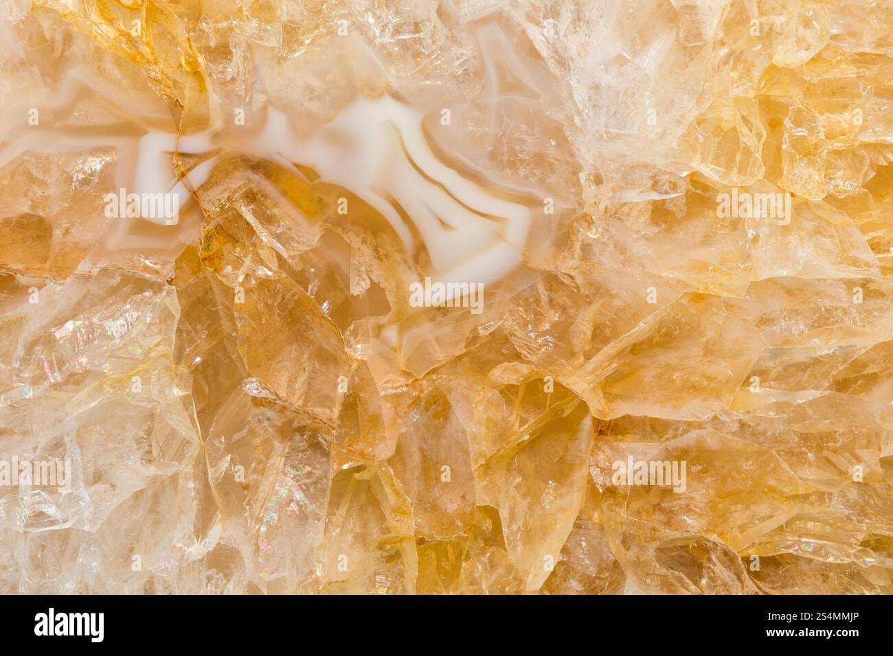 Detailed macro shot of an agatized limb cast, showcasing intricate ...