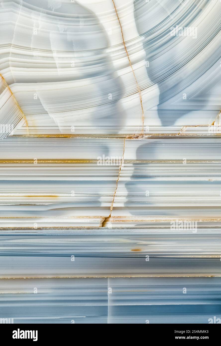 A macro photograph showcasing the striking linear patterns and mineral ...