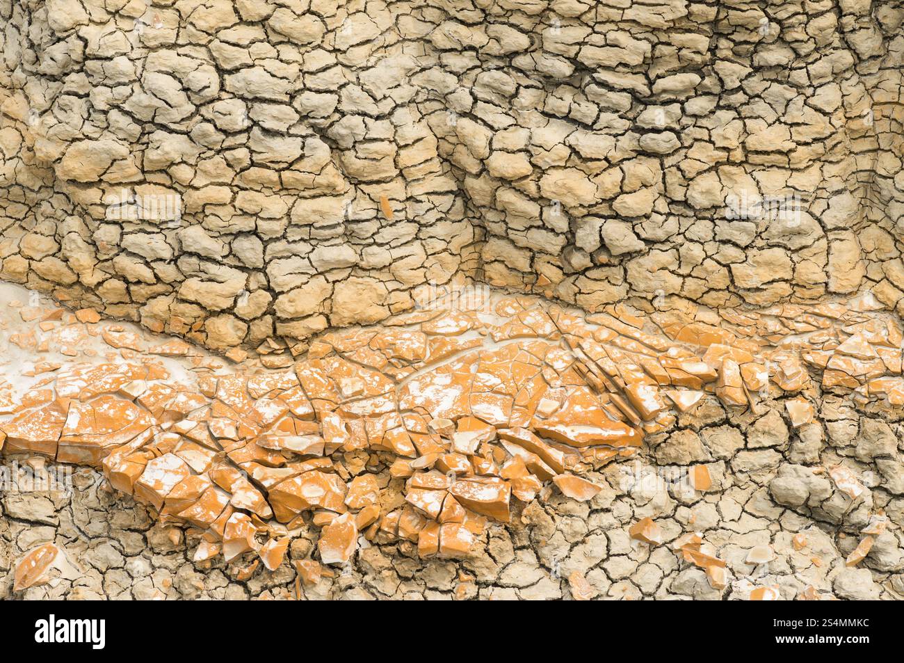 Textured patterns formed in dry, cracked clay interspersed with ...