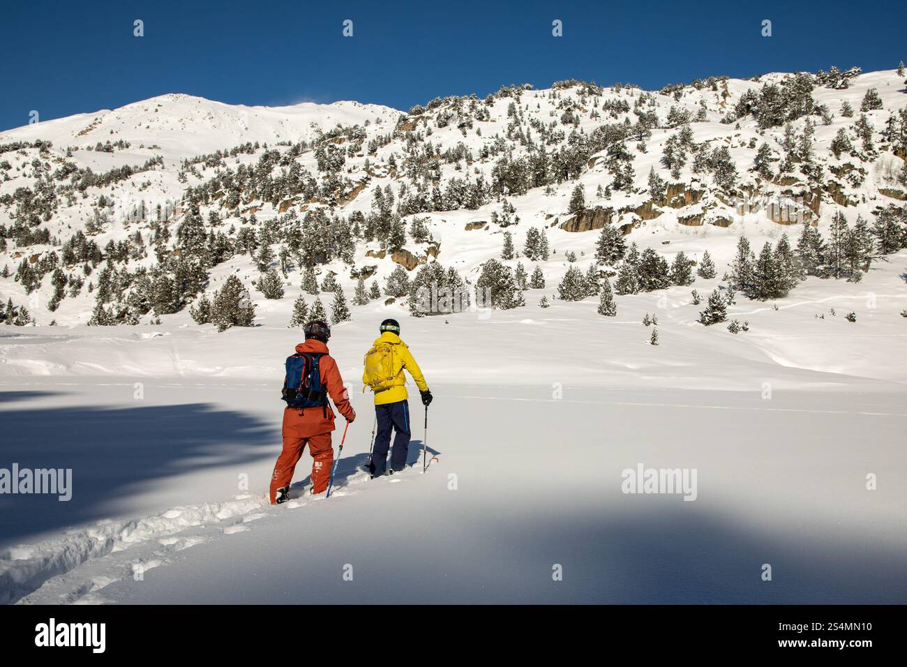 Two free skiers in vibrant gear traverse untouched alpine snow ...