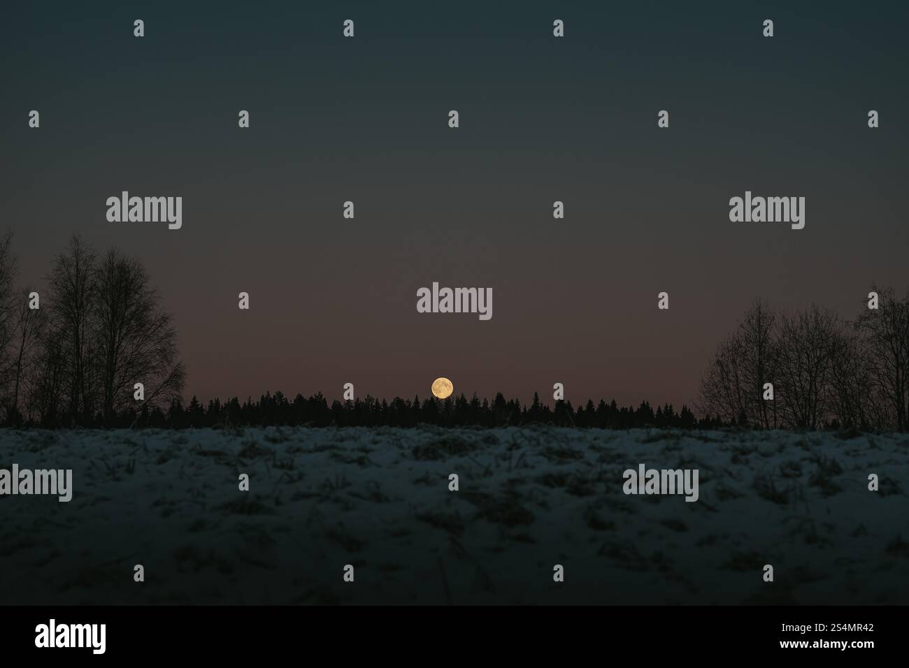 Moon rising on a very cold day Stock Photo - Alamy