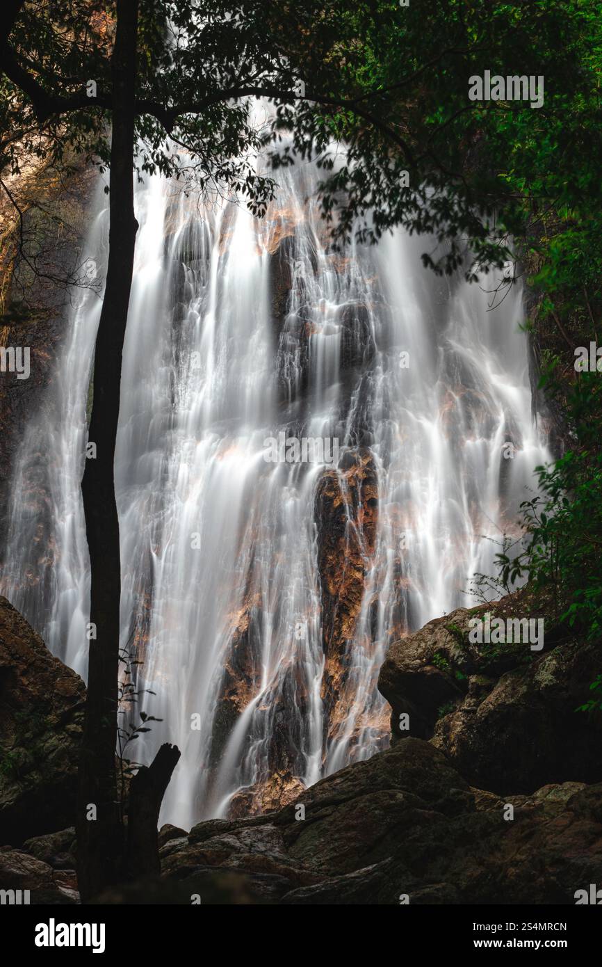 Waterfall with trees hi-res stock photography and images - Alamy