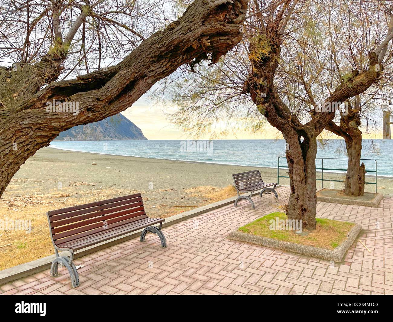 Beach and trees of Liguria near sea. Nature of Mediterranean Sea in ...