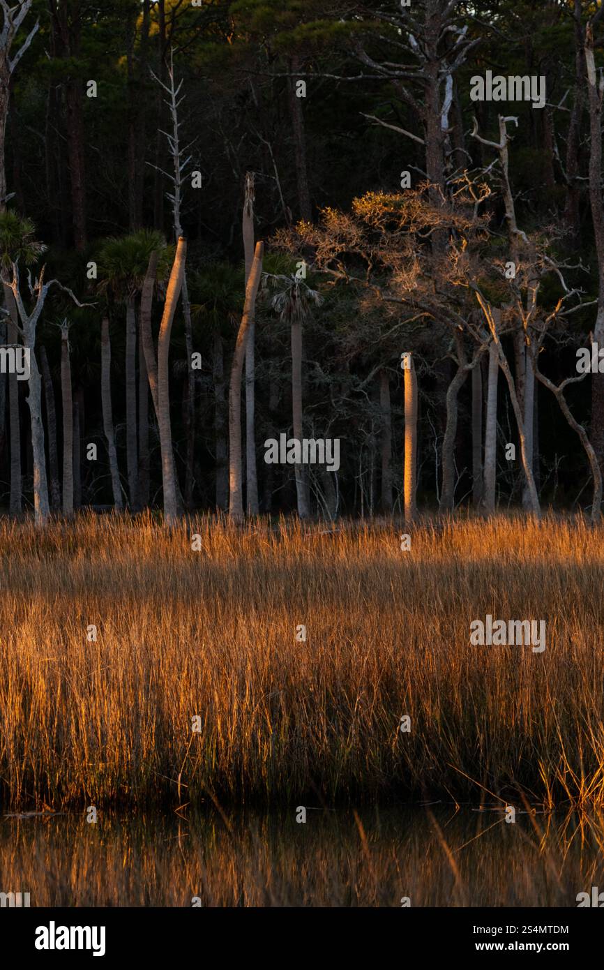 Beaufort south carolina marsh hi-res stock photography and images - Alamy