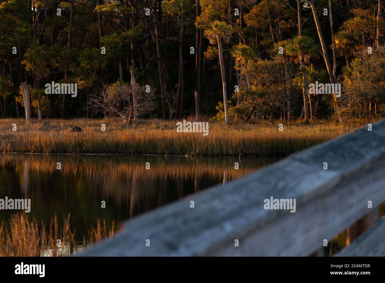 Lowcountry south carolina view marsh hi-res stock photography and ...