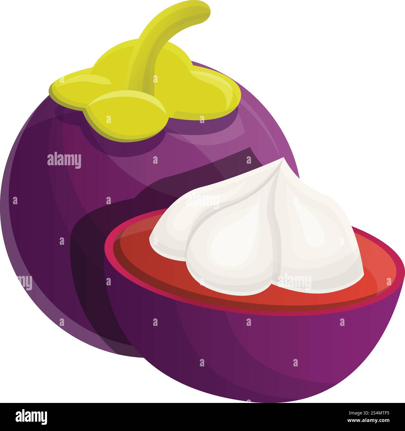 Mangosteen icon. Cartoon of mangosteen vector icon for web design ...