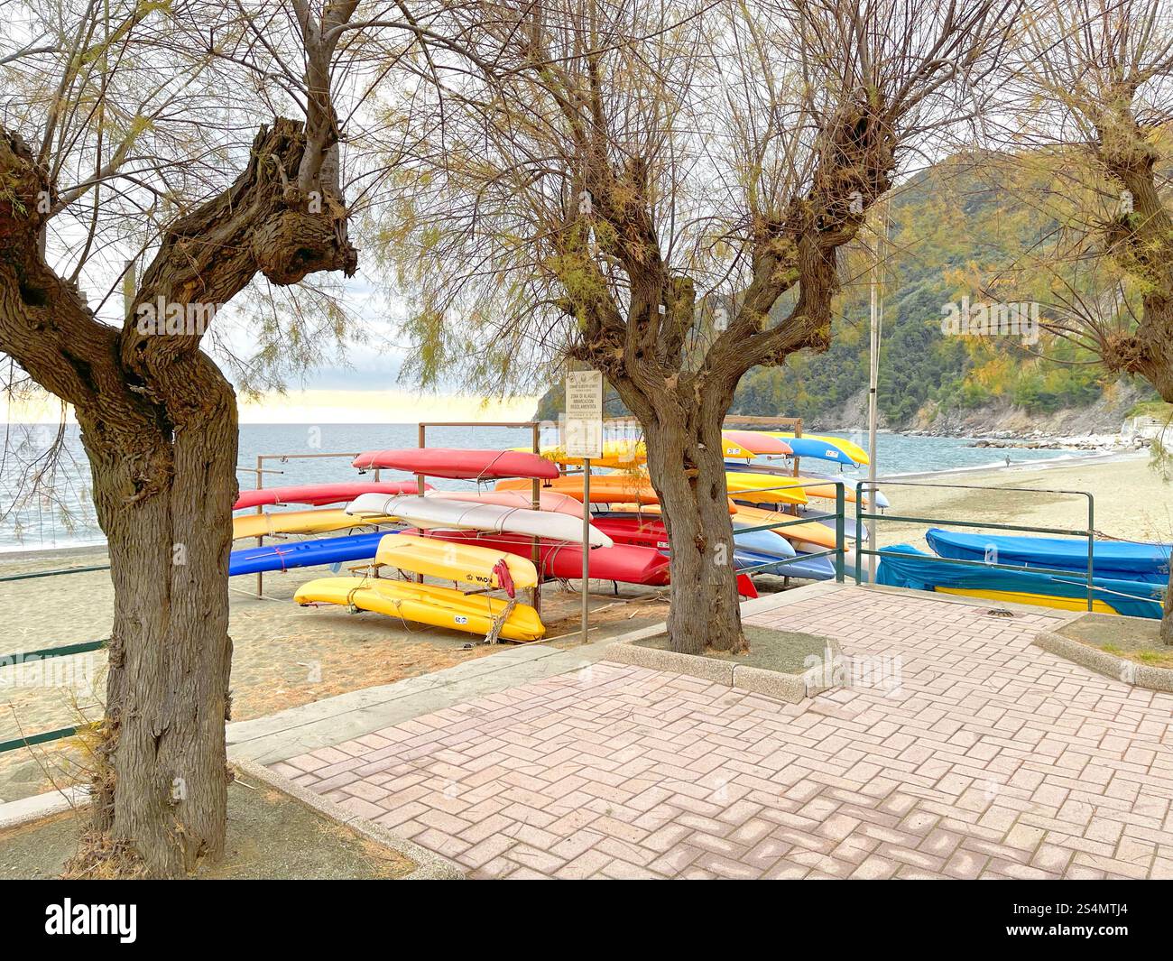 Beach and trees of Liguria near sea. Nature of Mediterranean Sea in ...