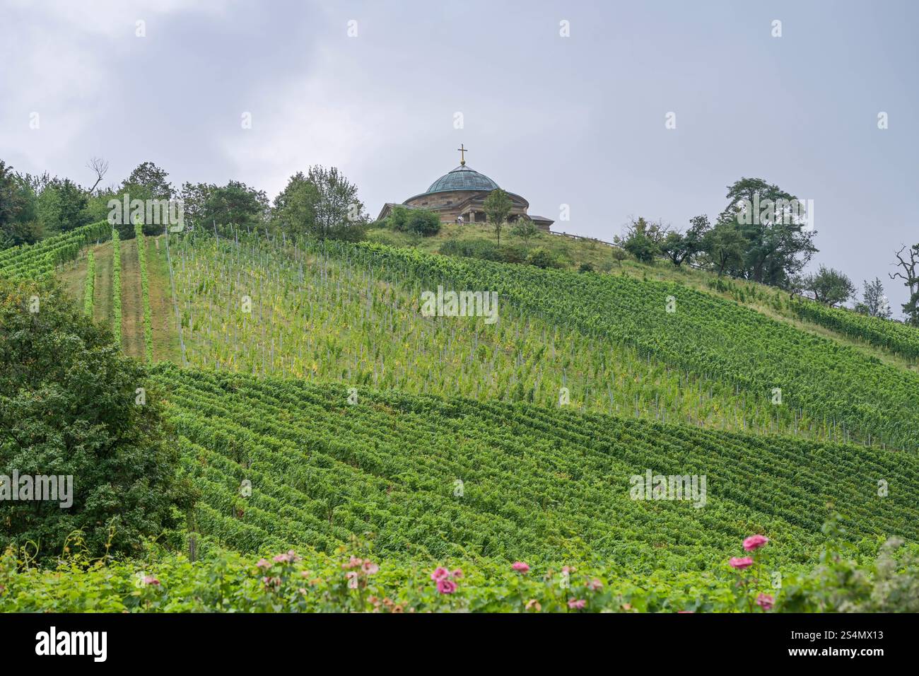 Weinberg Untertürkheimer Mönchberg, Grabkapelle auf dem Württemberg ...