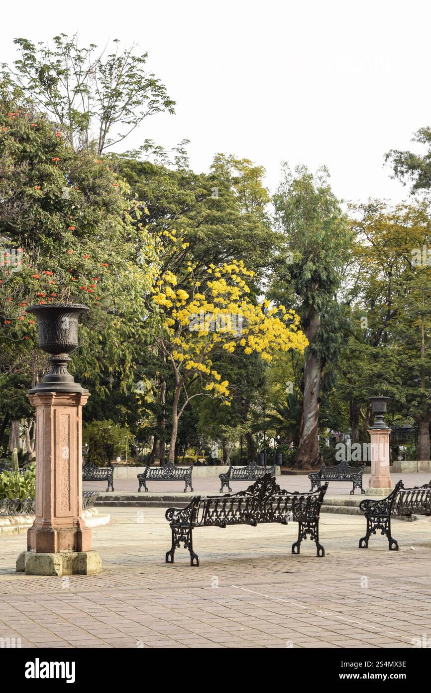 Urban landscape of Oaxaca. Park bench in Oaxaca's historic center Stock ...