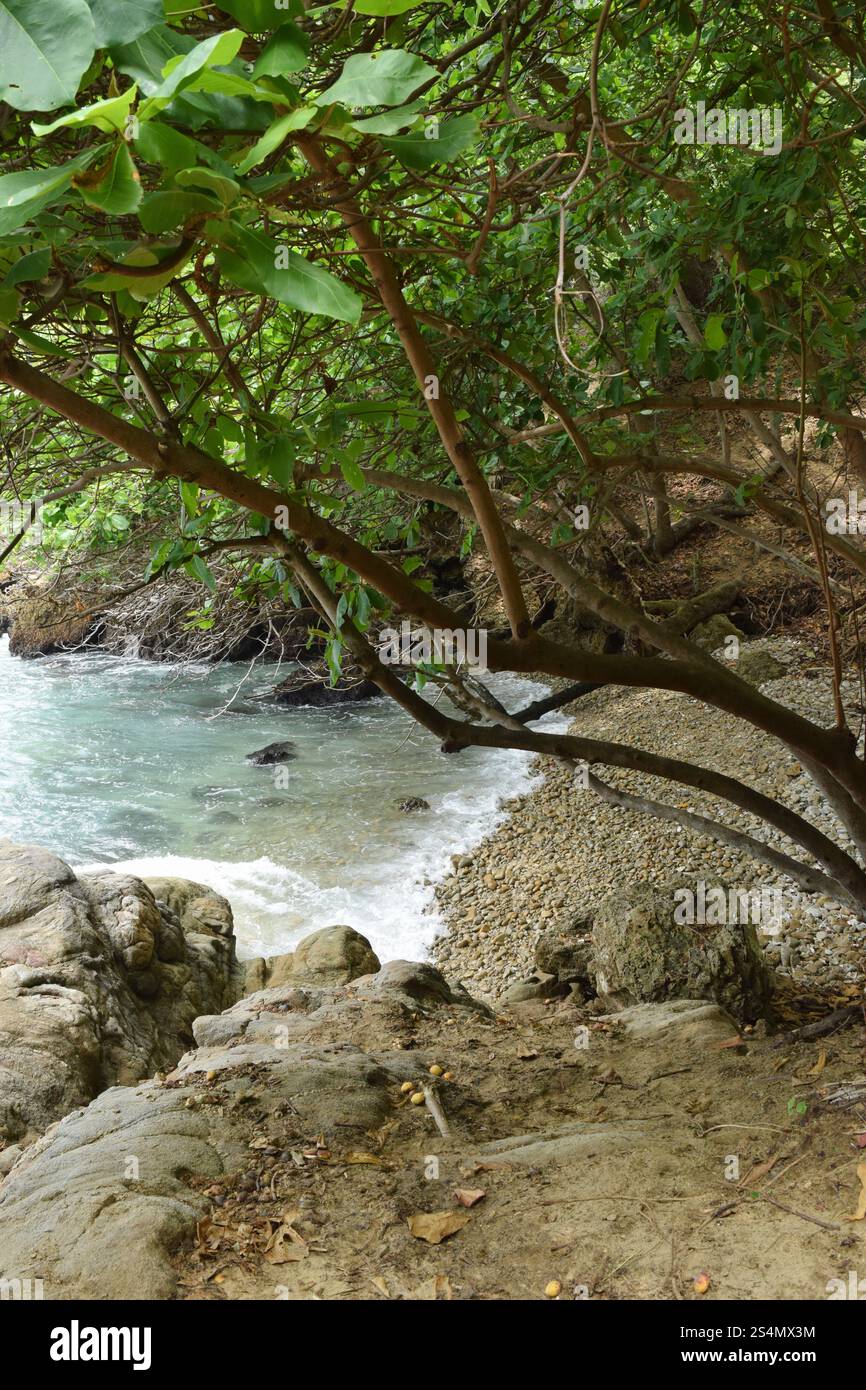 Tropical beach hidden on the coast of Oaxaca, Mexico Stock Photo - Alamy